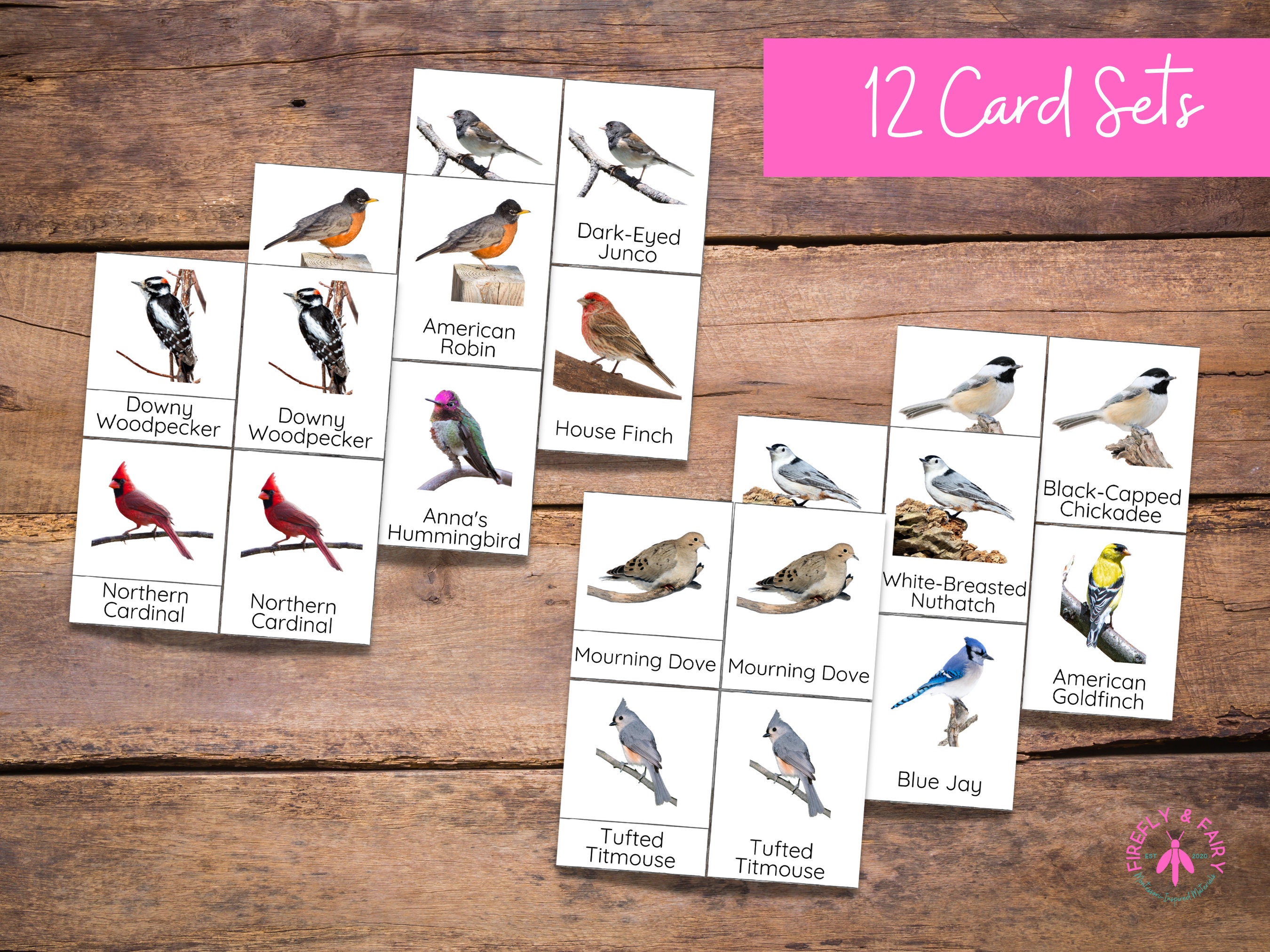 Backyard Birds of Winter Montessori Nomenclature 3-part Cards Science ...