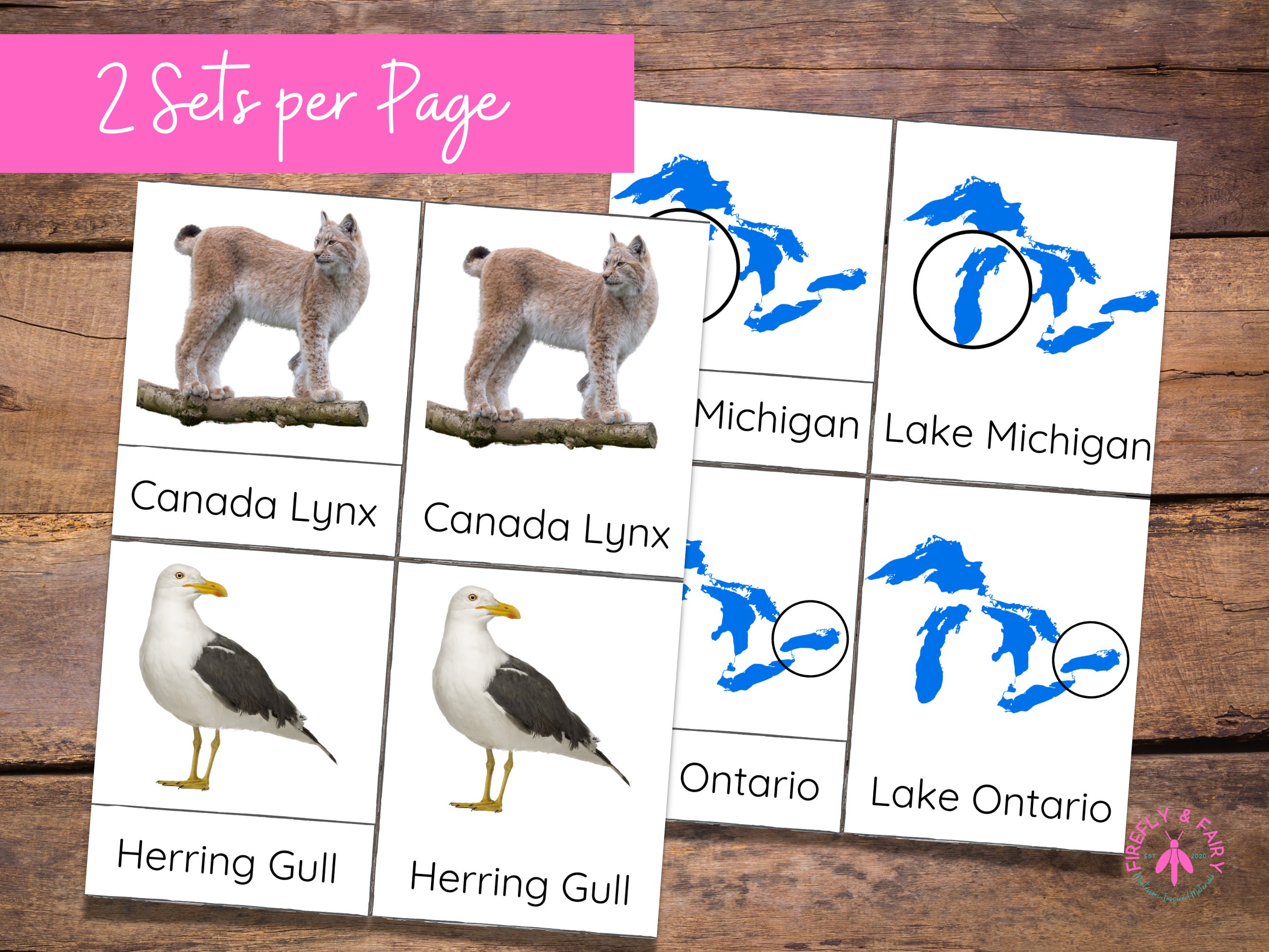 Animals of the Great Lakes Montessori Nomenclature 3-part Cards Science ...