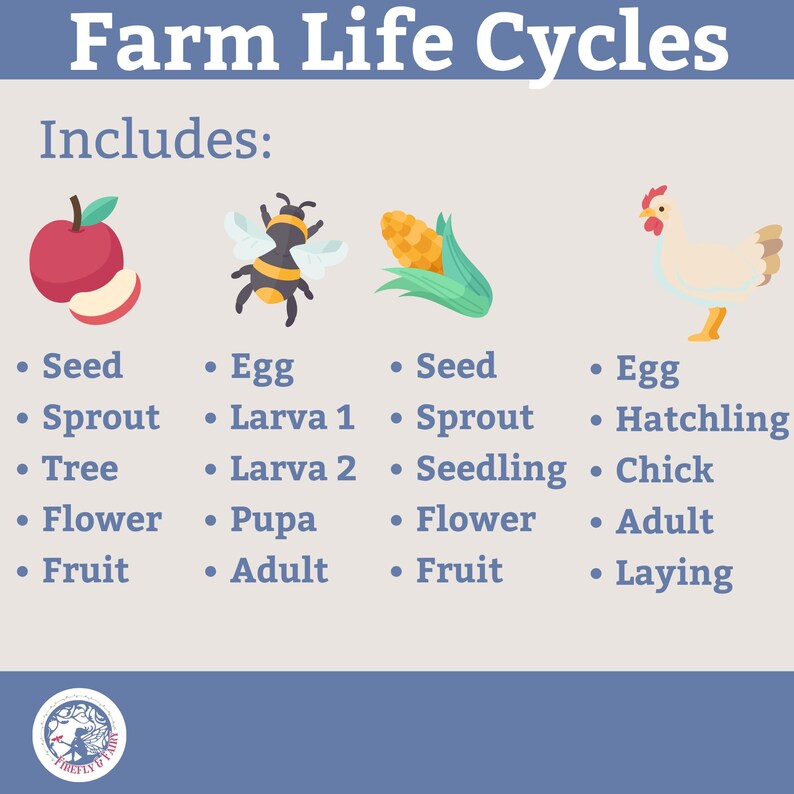 Farm Life Cycle Wheel Science Activity / Chicken Life Cycle / Farm Unit ...