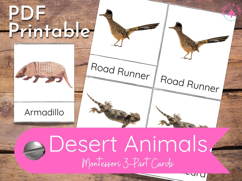 Desert Animals Montessori 3-part Cards Flash Card Activity for Social ...