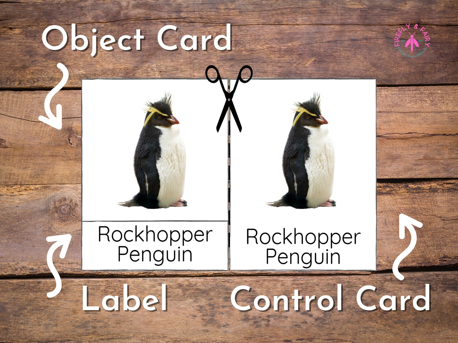 Animals of Antarctica Montessori Nomenclature 3-part Cards Science ...