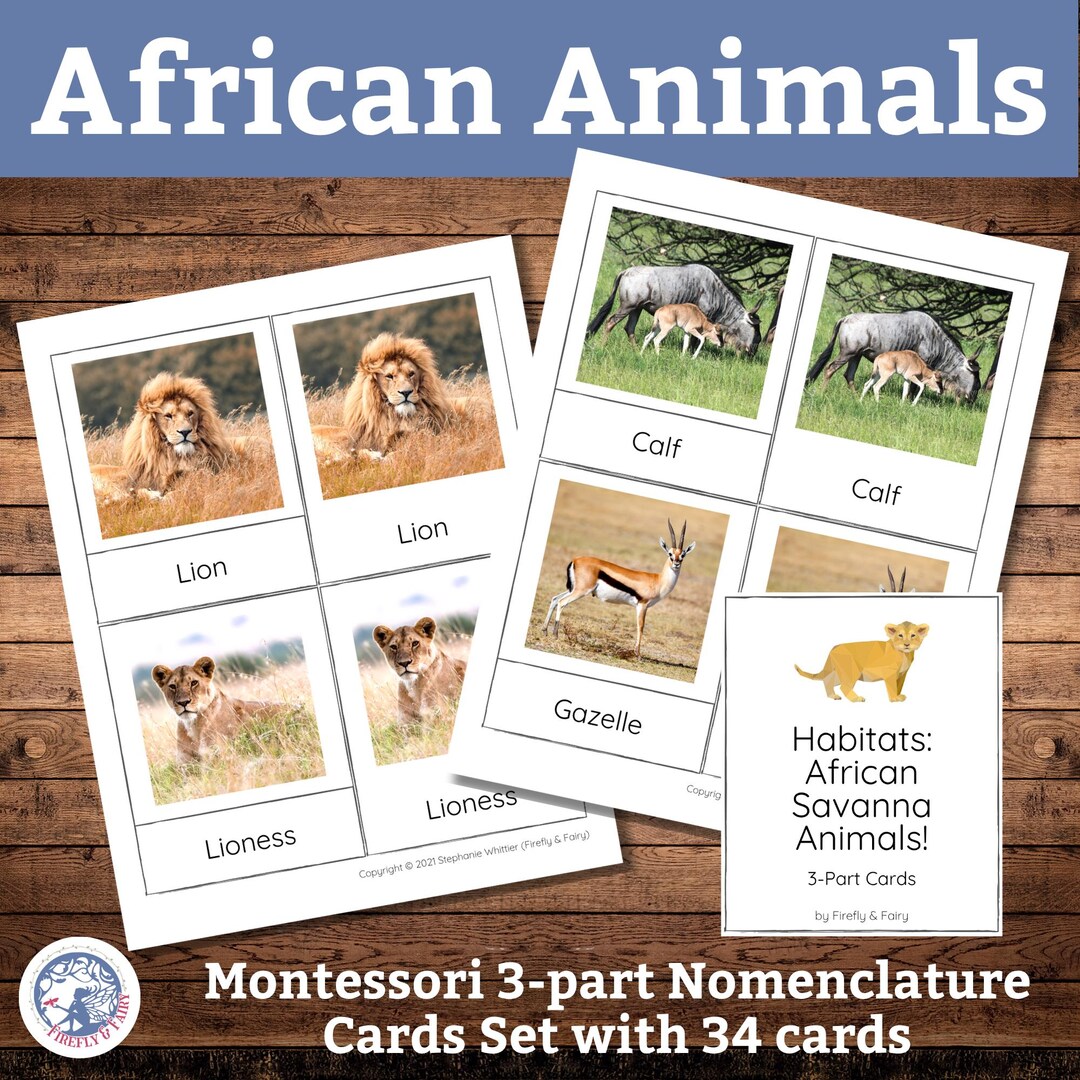 African Animals Montessori Science Flashcards: Homeschool Science ...