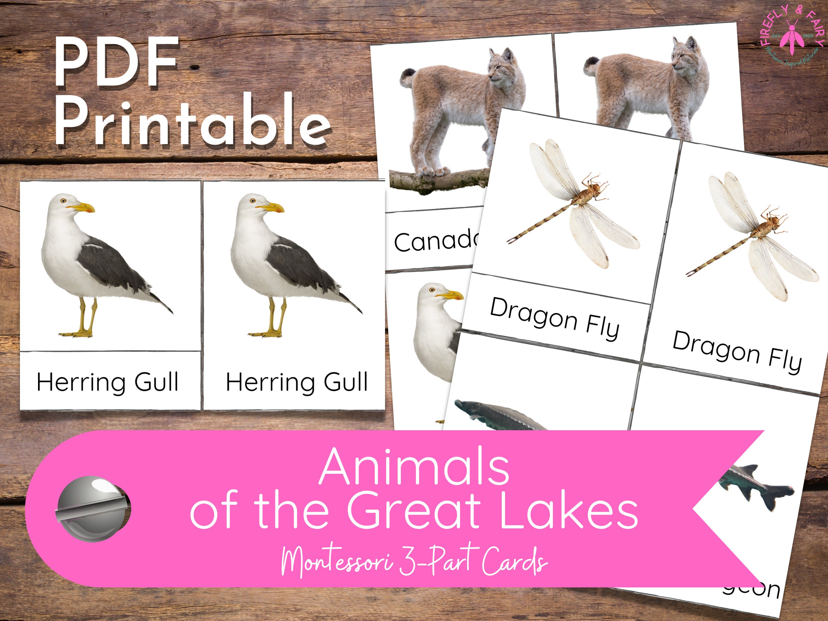 Animals of the Great Lakes Montessori Nomenclature 3-part Cards Science ...