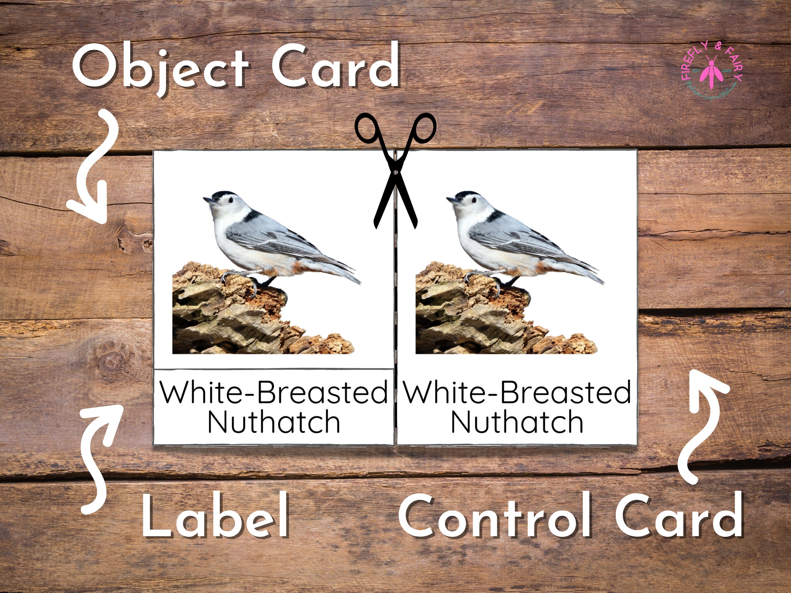 Backyard Birds of Winter Montessori Nomenclature 3-part Cards Science ...