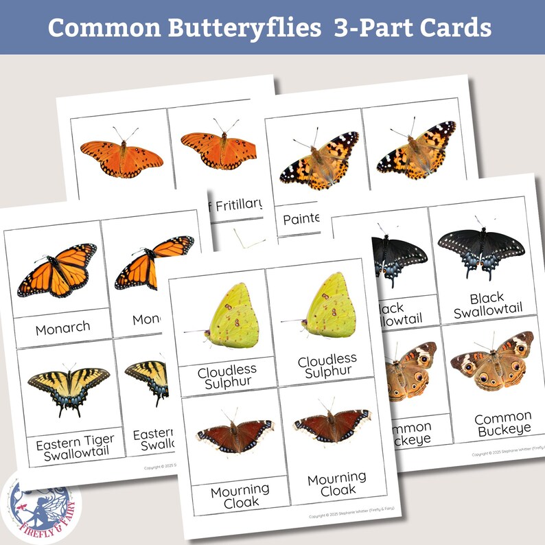Backyard Butterflies Three Part Cards Set & Printable Nature Study ...