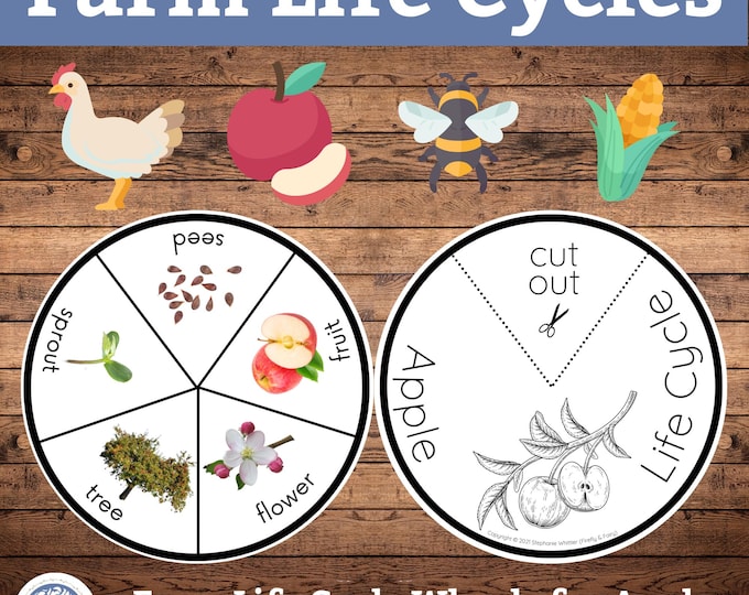 Life Cycle of a Chicken Wheel, Homeschool Science Unit Study ...
