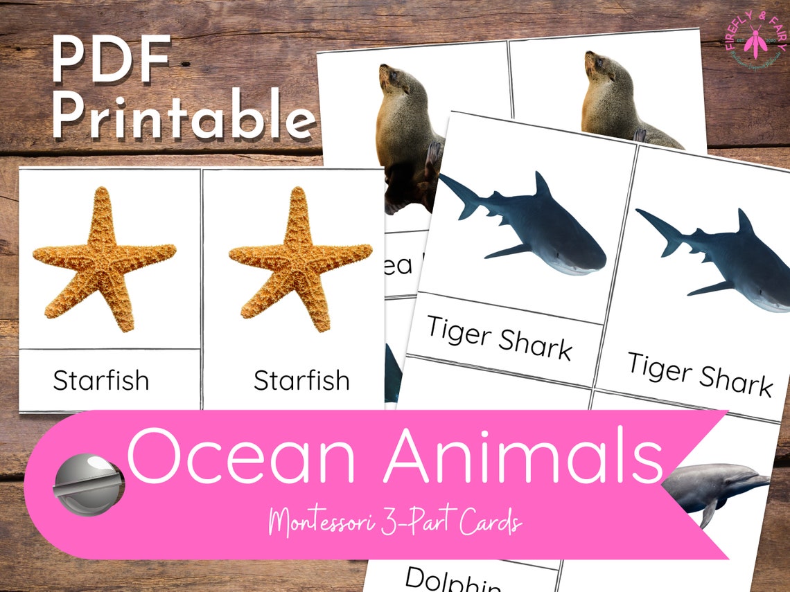 Ocean Montessori Nomenclature 3-part Cards Science Safari Toob - Etsy