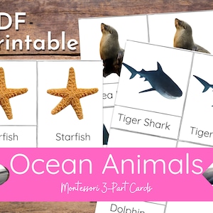 Ocean Themed Montessori Nomenclature Cards With 12 Marine Animals ...