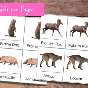 Desert Animals Montessori 3-part Cards Flash Card Activity for Social ...