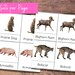 Desert Animals Montessori 3-part Cards Flash Card Activity for Social ...