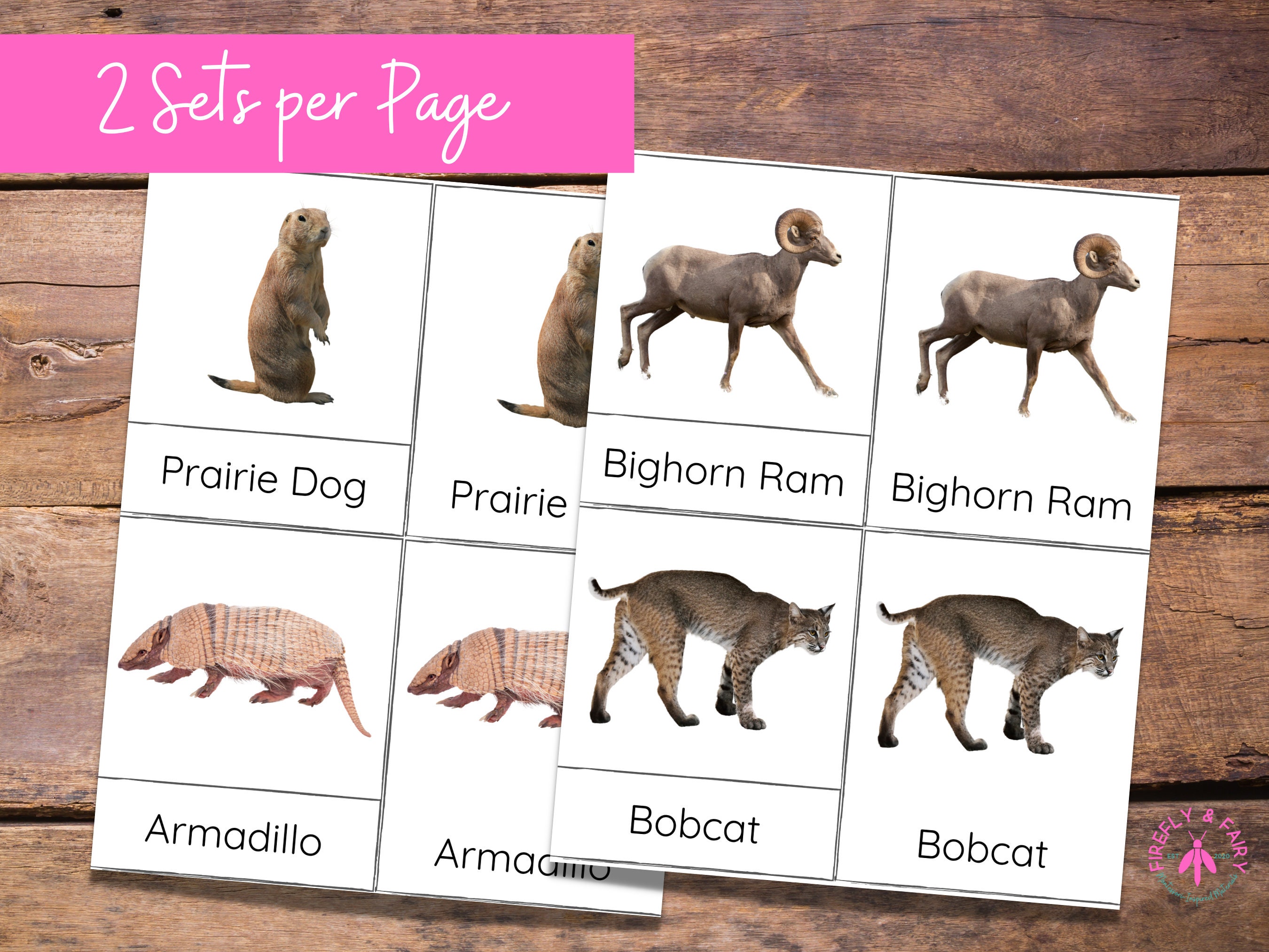 Desert Animals Montessori 3-part Cards Flash Card Activity for Social ...