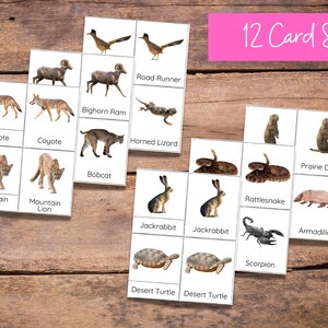 Desert Animals Montessori 3-part Cards Flash Card Activity for Social ...