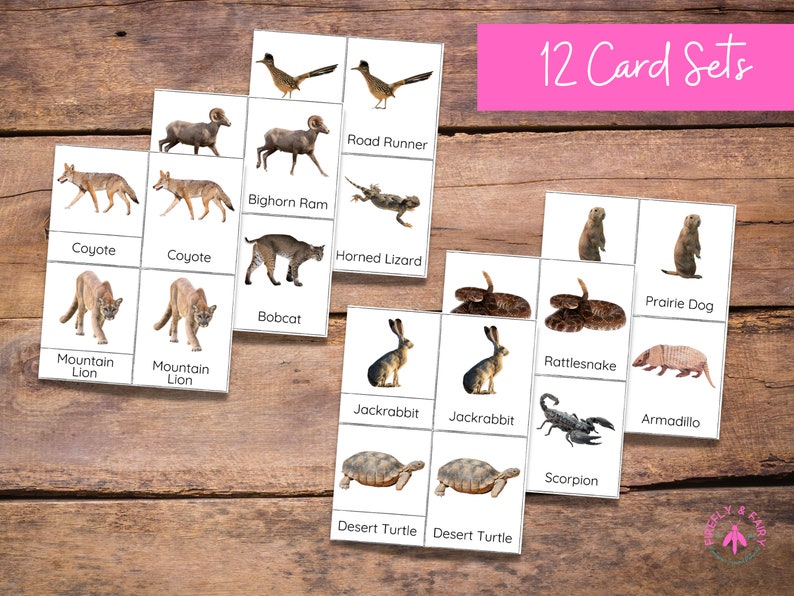 Desert Animals Montessori 3-part Cards Flash Card Activity for Social ...