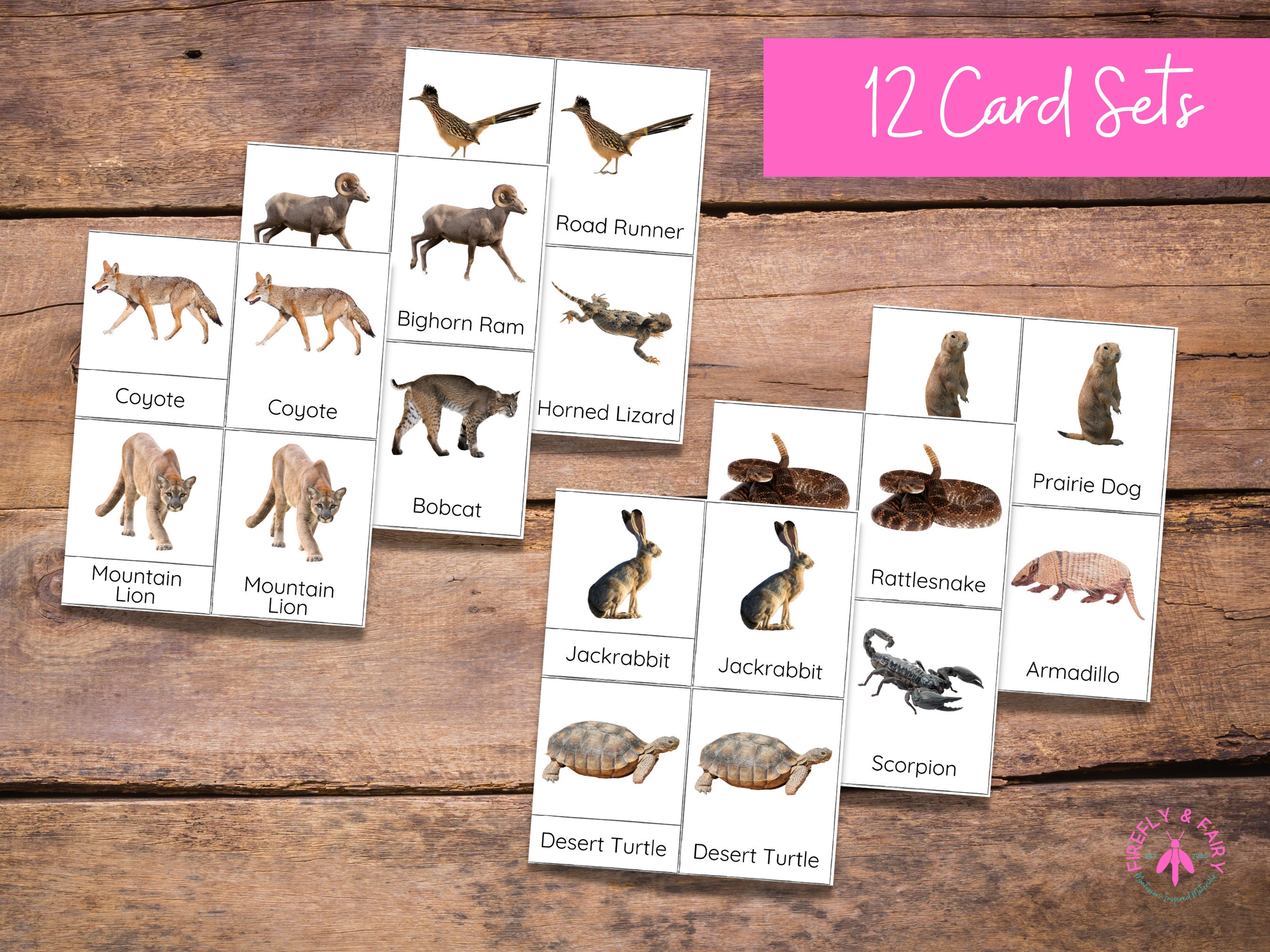 Desert Animals Montessori 3-part Cards Flash Card Activity for Social ...