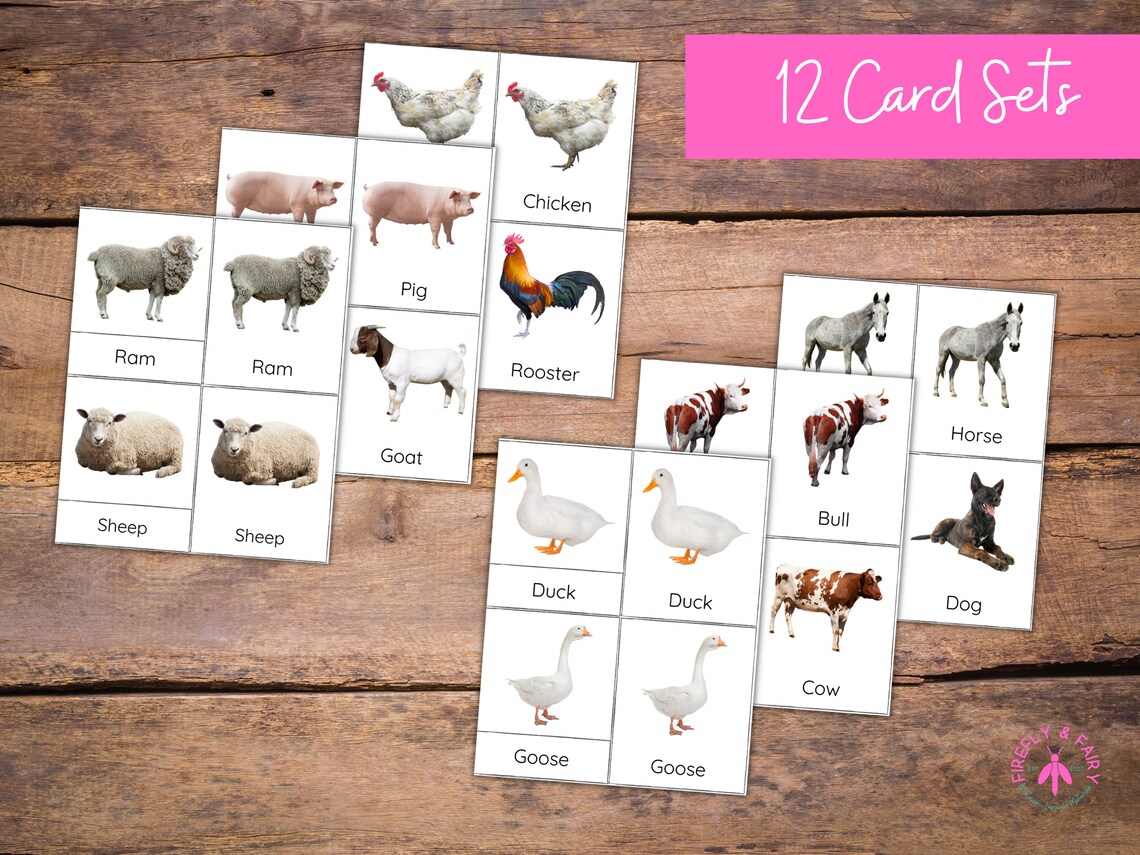 On the Farm Animals Montessori Nomenclature 3-part Cards for Homeschool ...
