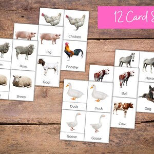 On the Farm Animals Montessori Nomenclature 3-part Cards for Homeschool ...