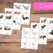 On the Farm Animals Montessori Nomenclature 3-part Cards for Homeschool ...