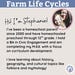 Farm Life Cycle Wheel Science Activity / Chicken Life Cycle / Farm Unit ...
