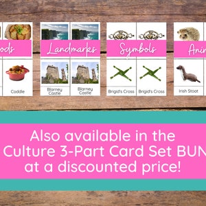 National Symbols of Ireland Montessori 3-part Cards Vocabulary Flash ...