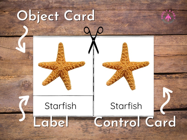 Ocean Themed Montessori Nomenclature Cards With 12 Marine Animals ...