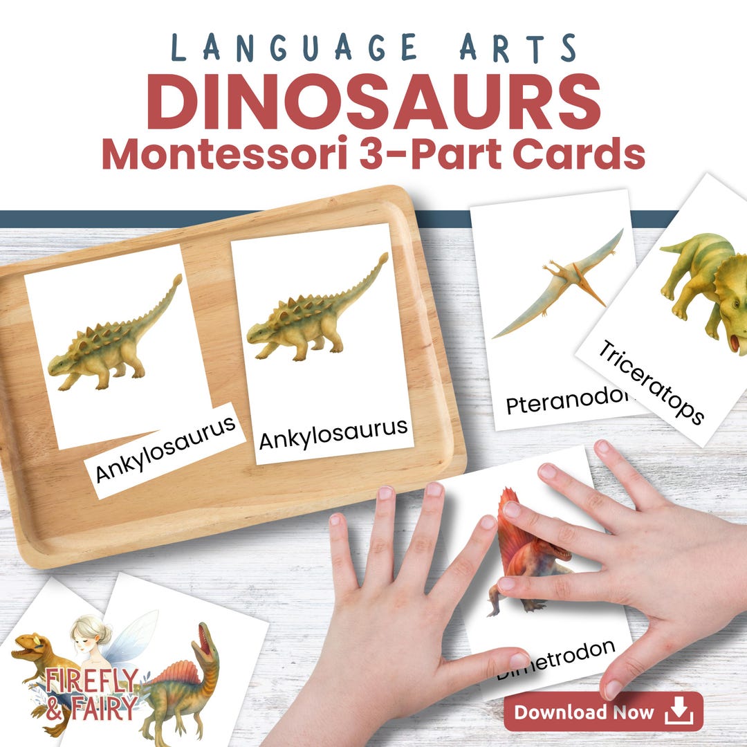 Dinosaurs Montessori 3-part Cards | Charlotte Mason Prehistoric Nature ...