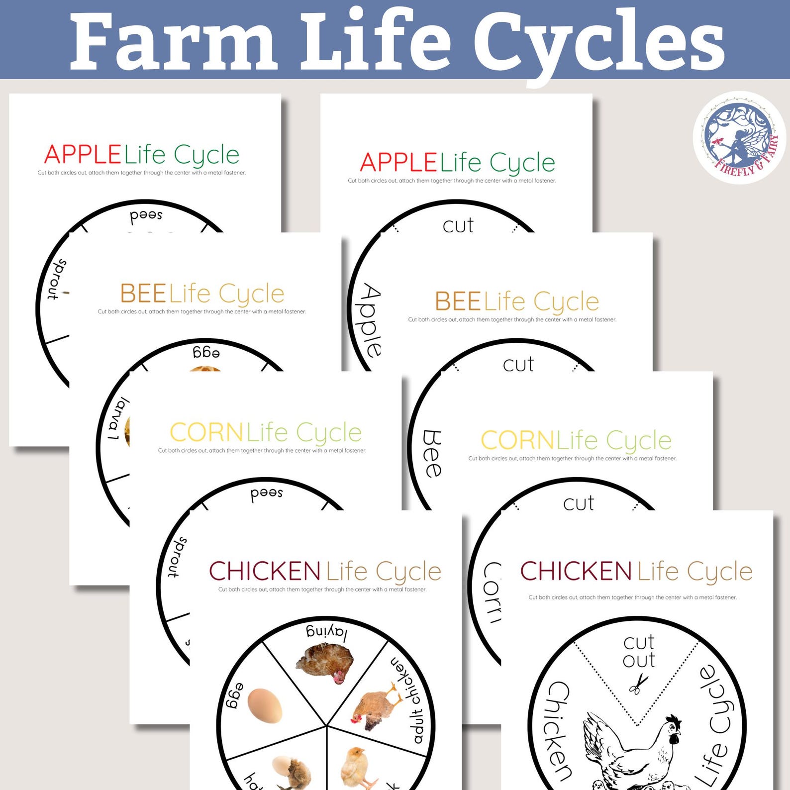 Farm Life Cycle Wheel Science Activity / Chicken Life Cycle / Farm Unit ...
