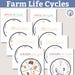 Farm Life Cycle Wheel Science Activity / Chicken Life Cycle / Farm Unit ...