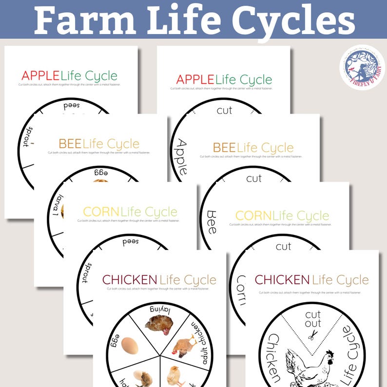 Farm Life Cycle Wheel Science Activity / Chicken Life Cycle / Farm Unit ...