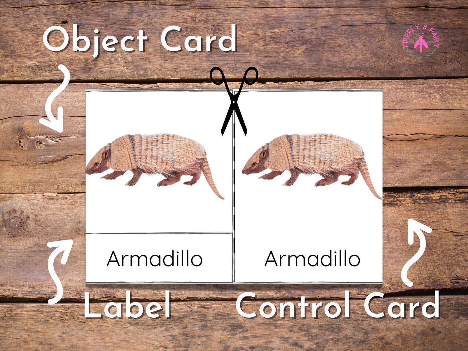 Desert Animals Montessori 3-part Cards Flash Card Activity for Social ...