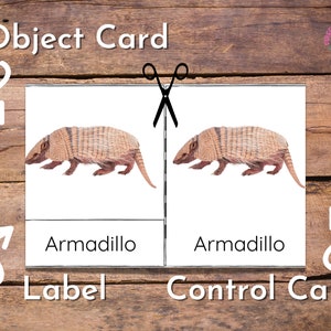 Desert Animals Montessori 3-part Cards Flash Card Activity for Social ...