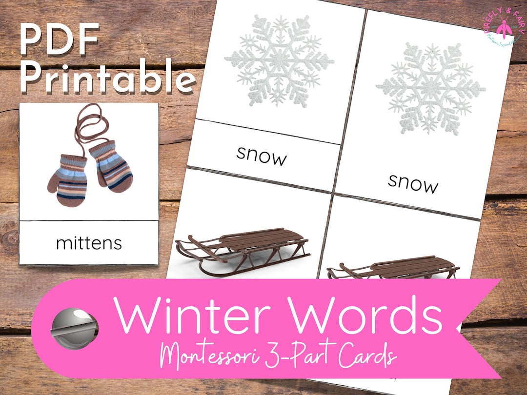 Winter Words Montessori 3-part Cards for Vocabulary Spelling Flashcard ...