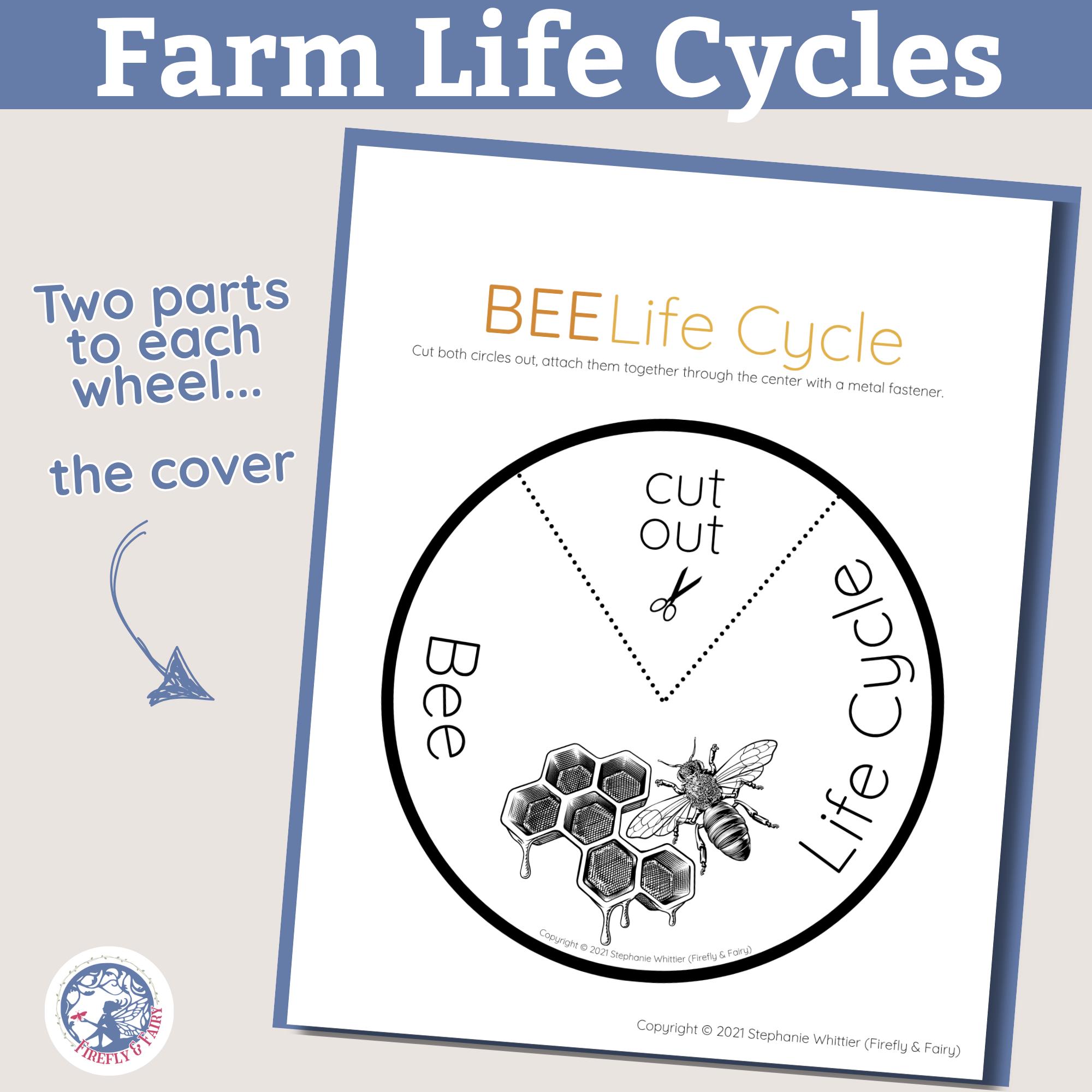 Farm Life Cycle Wheel Science Activity / Chicken Life Cycle / Farm Unit ...