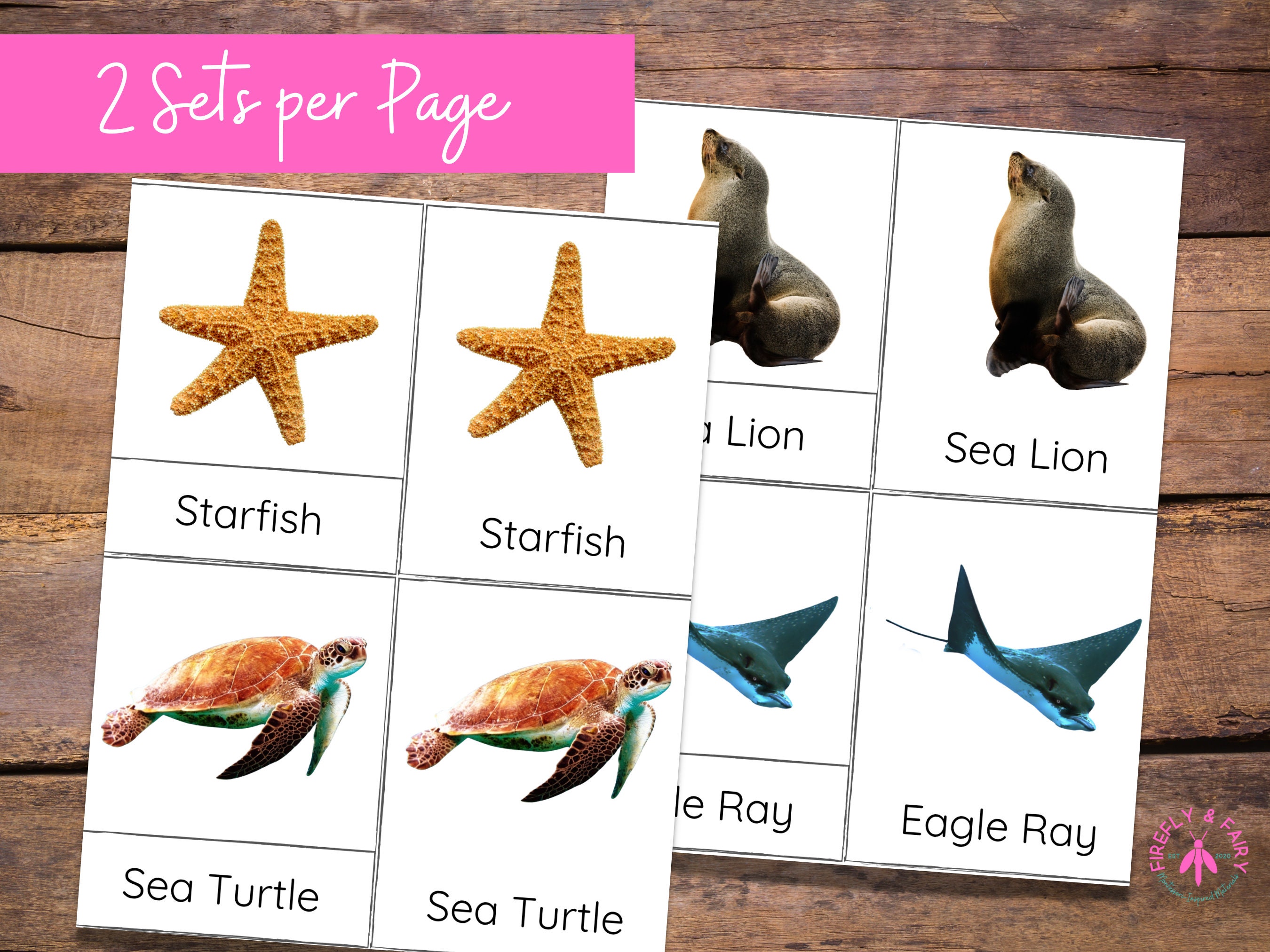 Ocean Montessori Nomenclature 3-part Cards Science Safari Toob - Etsy