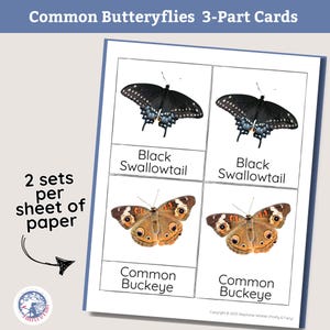 Backyard Butterflies Three Part Cards Set & Printable Nature Study ...