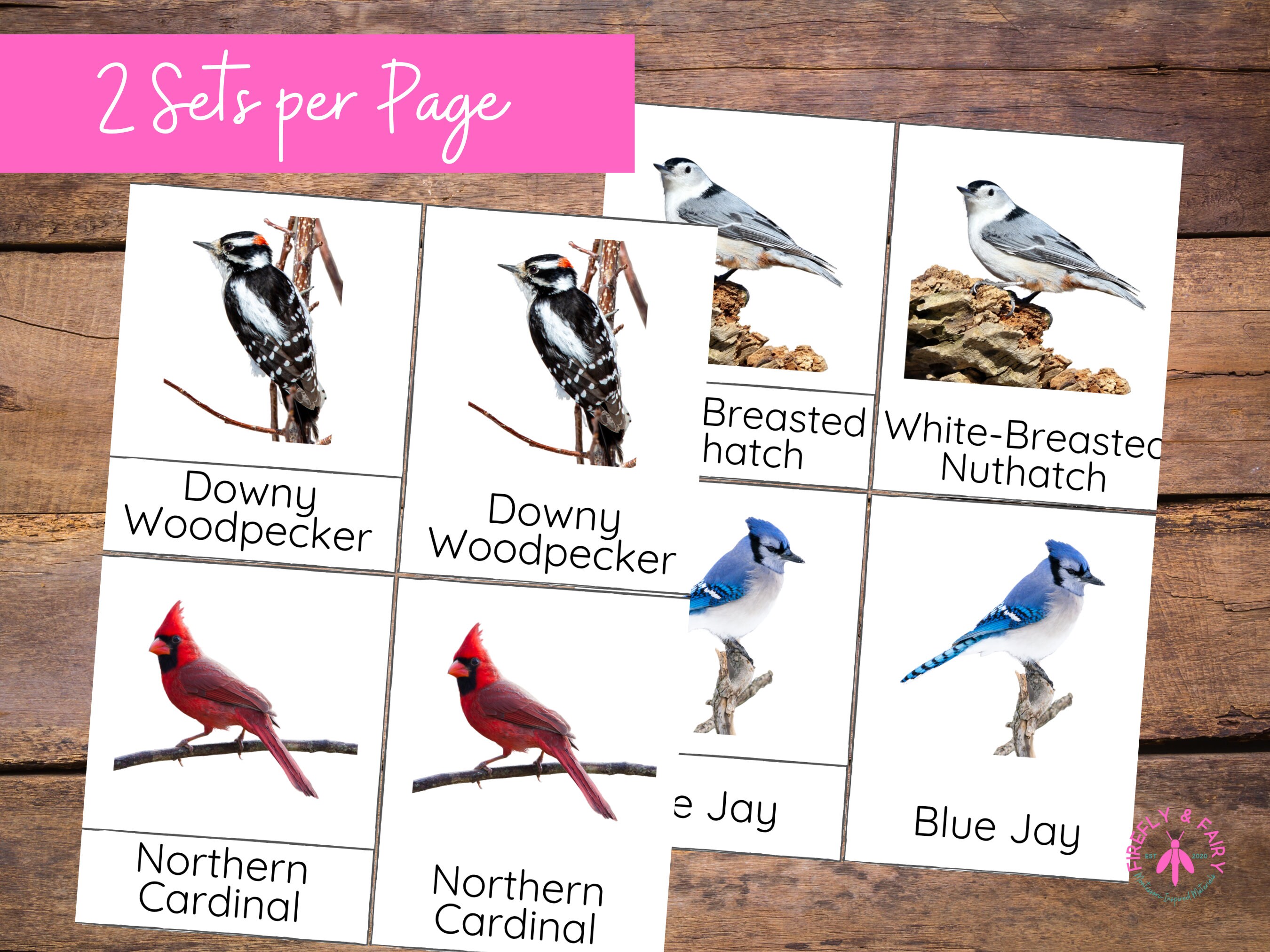 Backyard Birds of Winter Montessori Nomenclature 3-part Cards Science ...