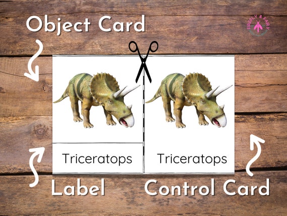 Toys Social Studies History Science Toob Hands-On Independent Learning ...