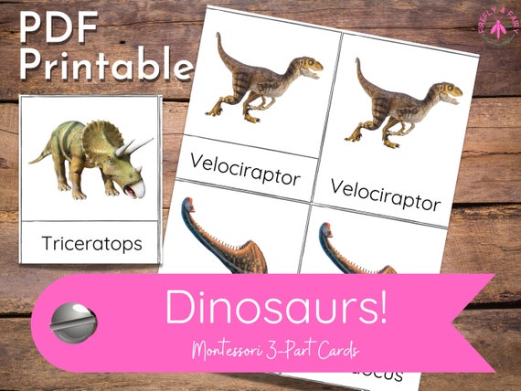 Dinosaur Montessori 3-part Cards / Digital Download / Social | Etsy