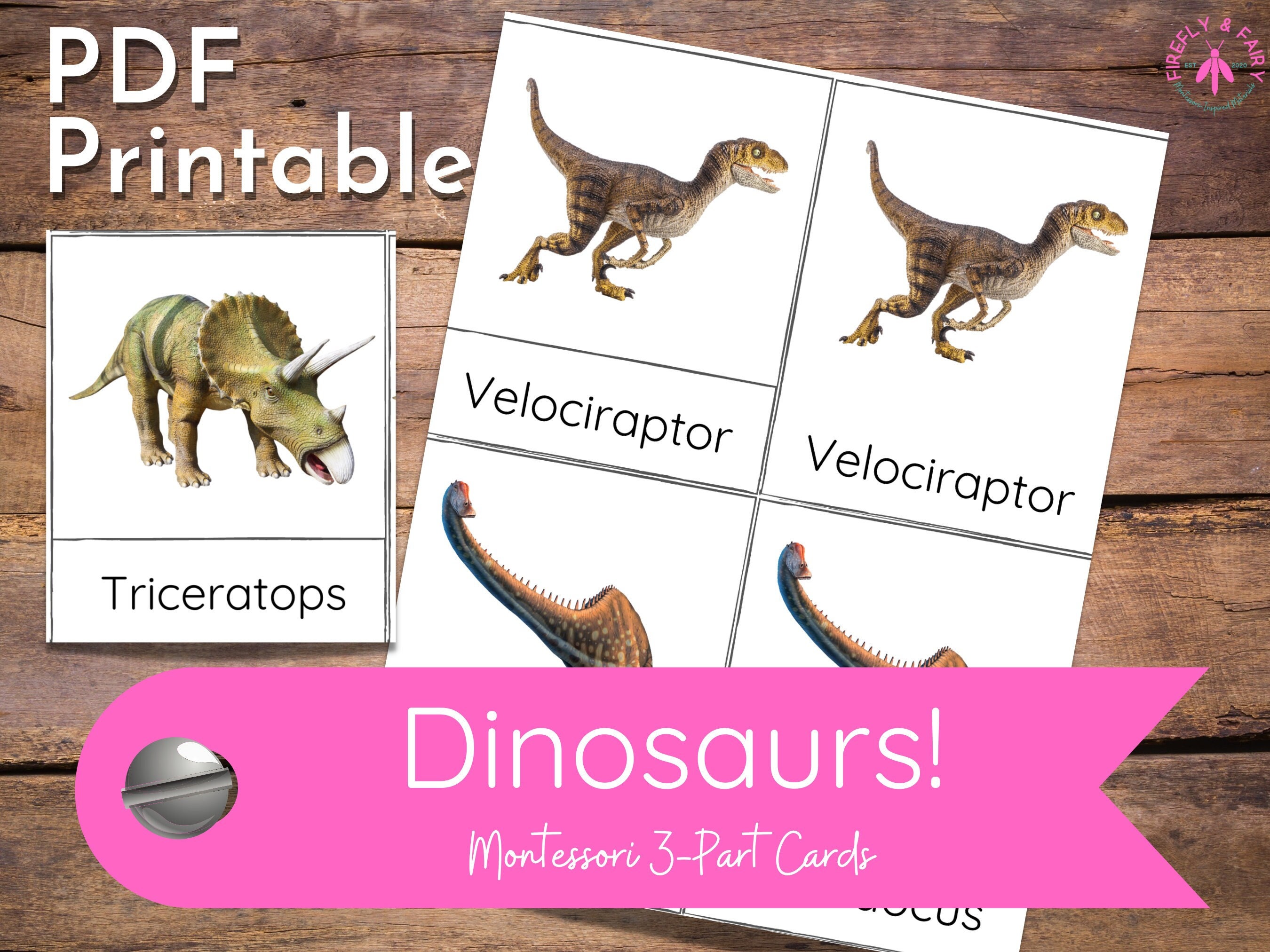 Dinosaur Montessori 3-part Cards / Digital Download / Social Studies ...