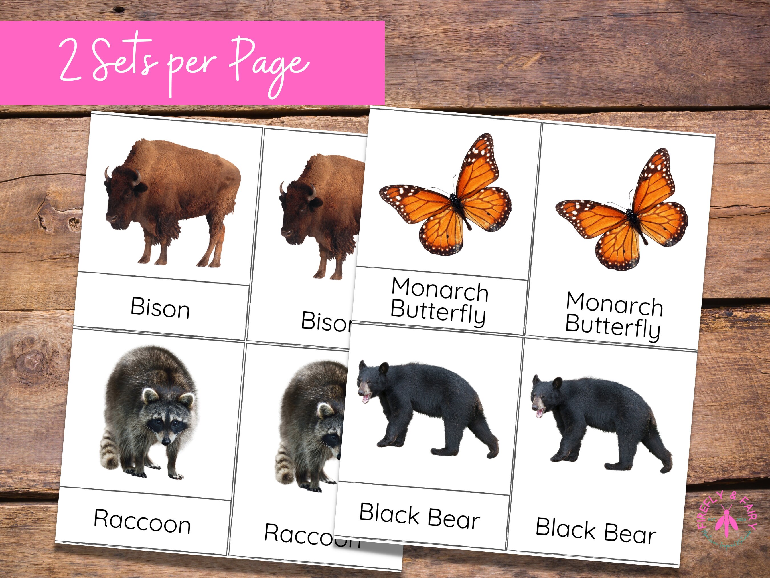 North American Wildlife Montessori 3-part Cards Flash Card Activity ...
