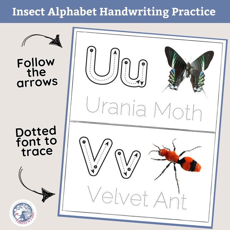 Insect Alphabet Handwriting Worksheet Color Photos Letter Formation ...