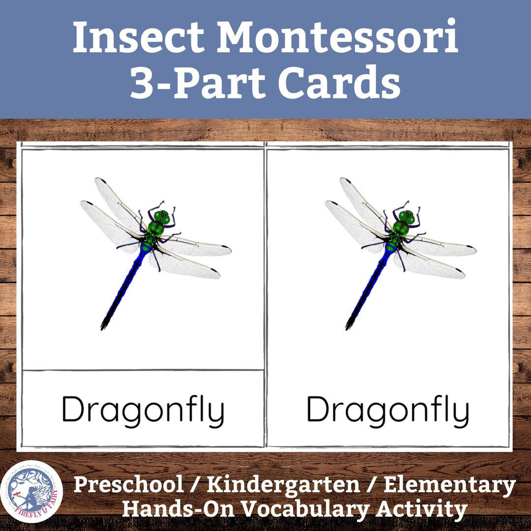 Insect Montessori Science 3 Part Cards/ Science Flash Cards for Kids ...