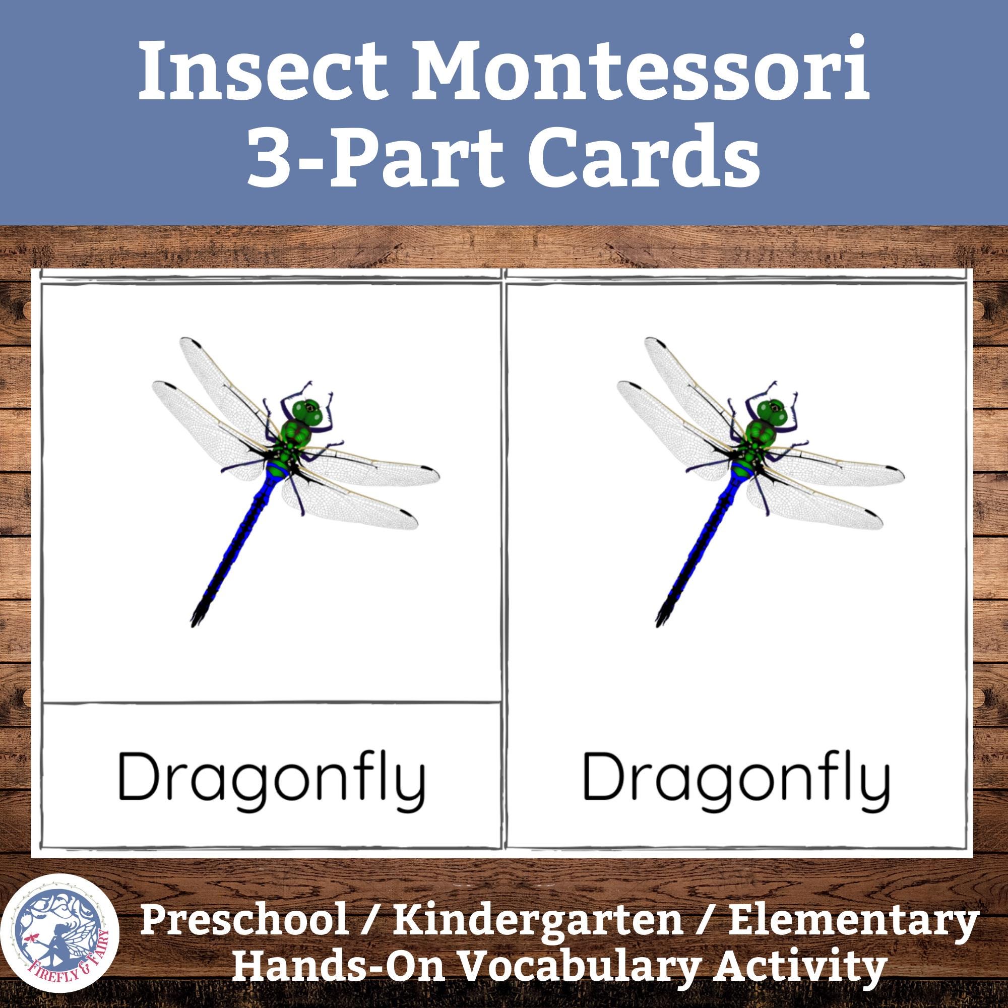 Insect Montessori Science 3-part Cards, Bug Flash Cards, Printable ...