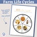 Farm Life Cycle Wheel Science Activity / Chicken Life Cycle / Farm Unit ...