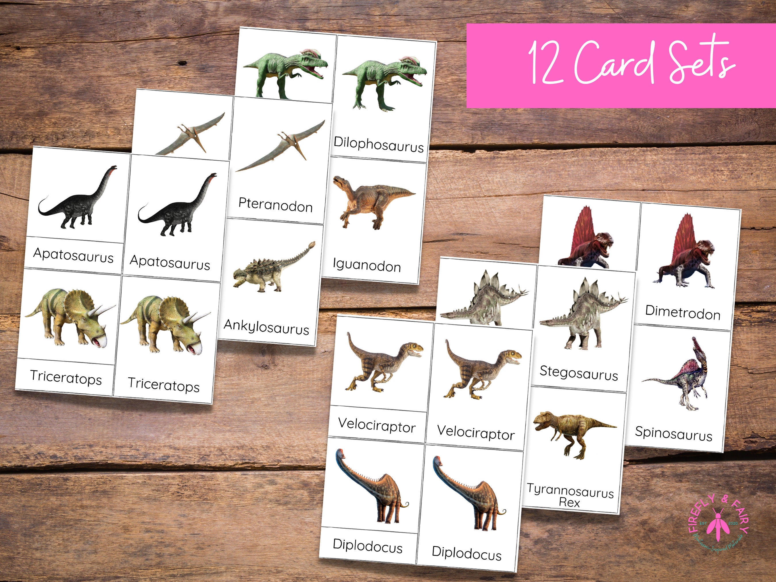 Dinosaur Montessori 3-part Cards / Digital Download / Social Studies ...