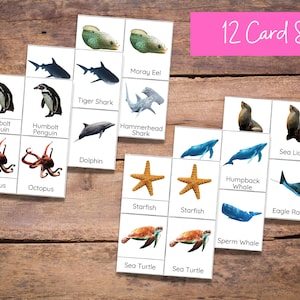 Ocean Themed Montessori Nomenclature Cards With 12 Marine Animals ...