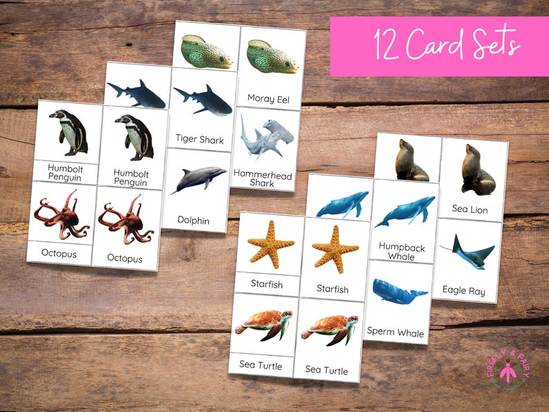 Ocean Montessori Nomenclature 3-part Cards Science Safari Toob - Etsy