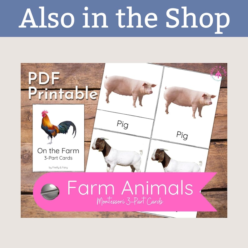 Farm Life Cycle Wheel Science Activity / Chicken Life Cycle / Farm Unit ...