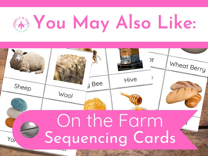 On the Farm Animals Montessori Nomenclature 3-part Cards for Homeschool ...