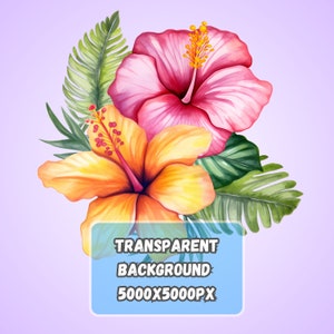 Hawaiian Flower Watercolor Clipart | Hibiscus Watercolor Flower Clipart ...