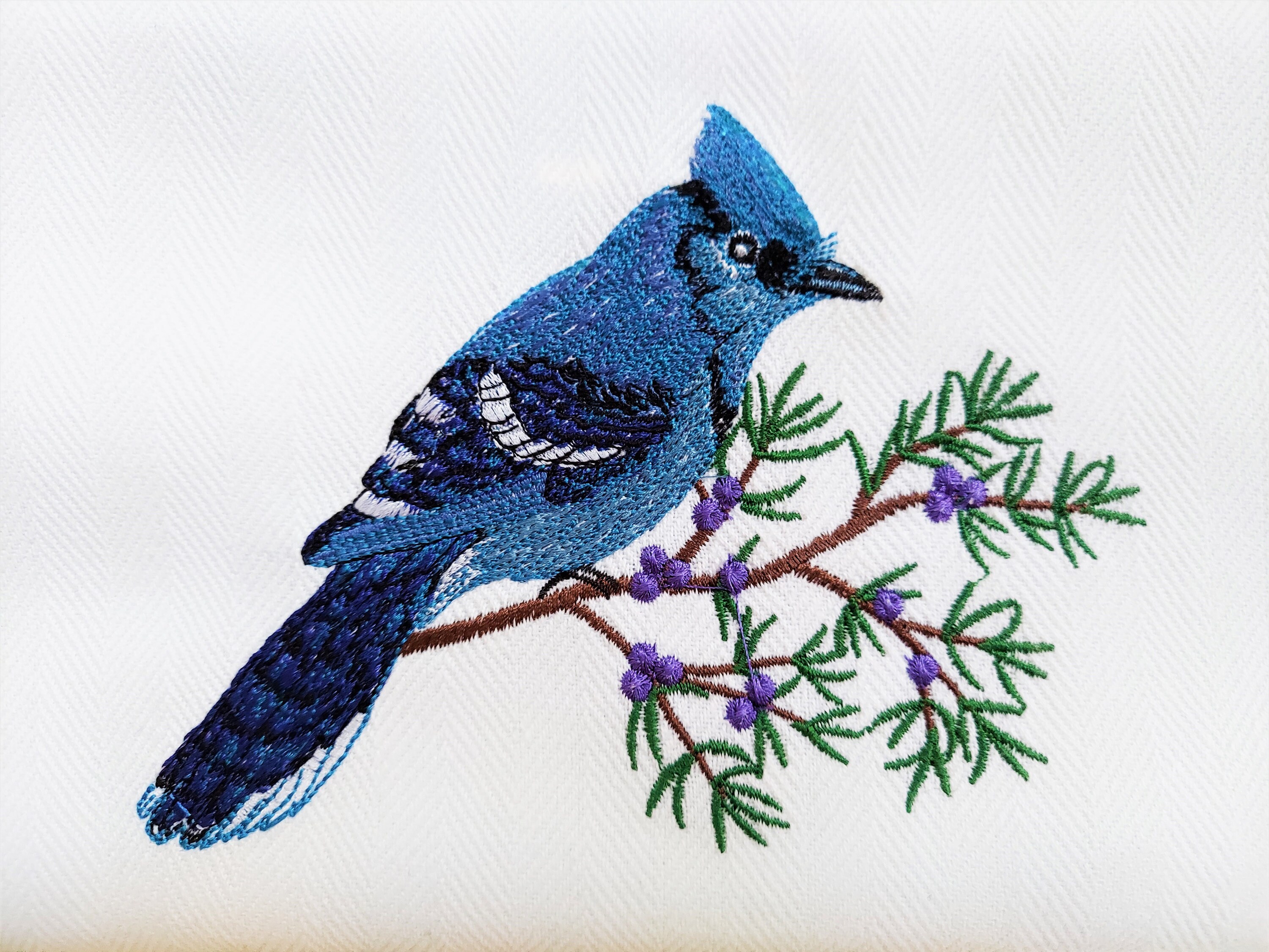 Embroidered Towel Blue Jay Embroidered on White Cotton Towel 15x25 ...